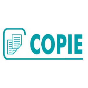 Tampon Encreur Trodat Printy 4912 copie Livraison gratuite